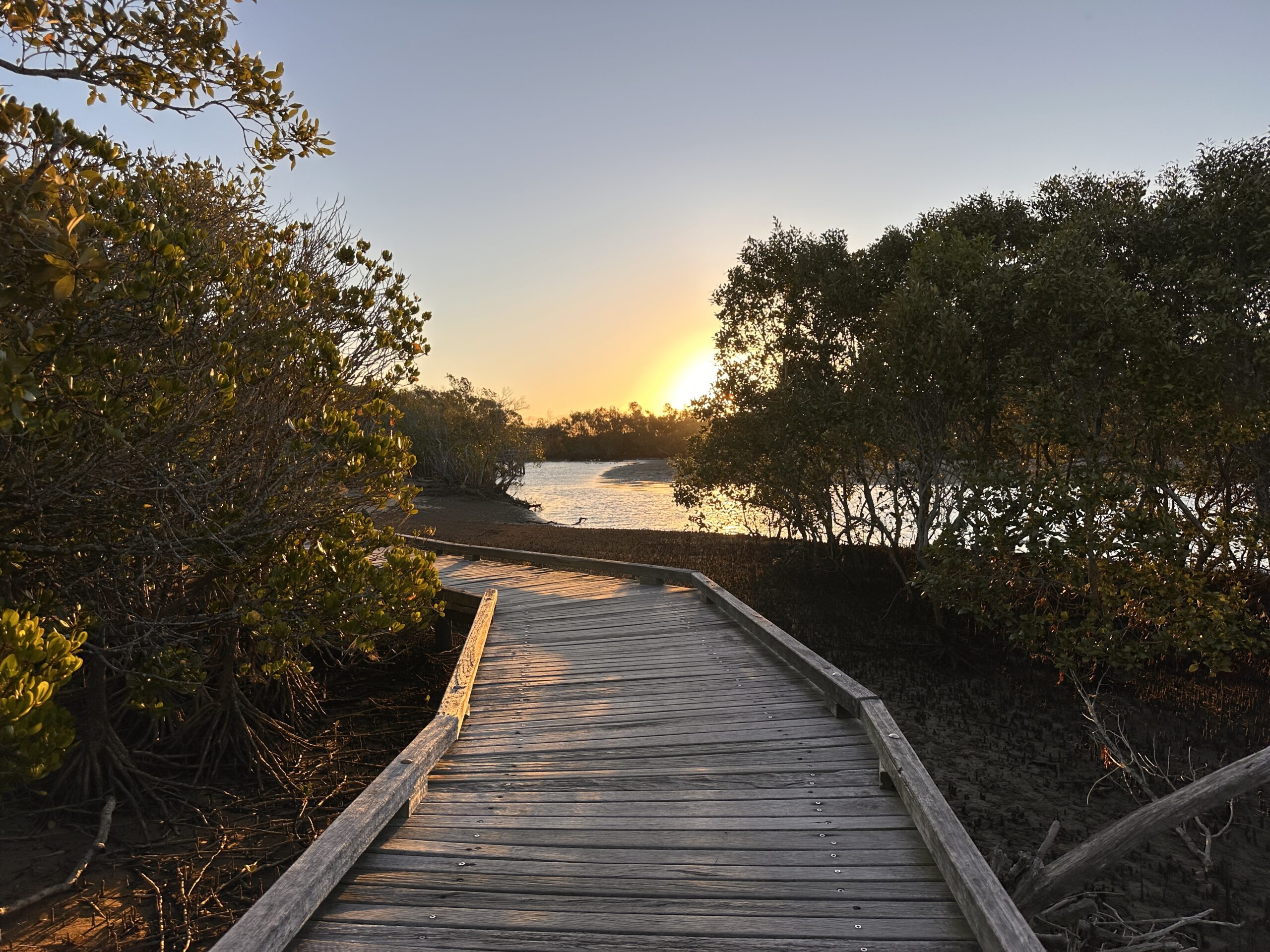 Pathway To Life - Kavi Arasu