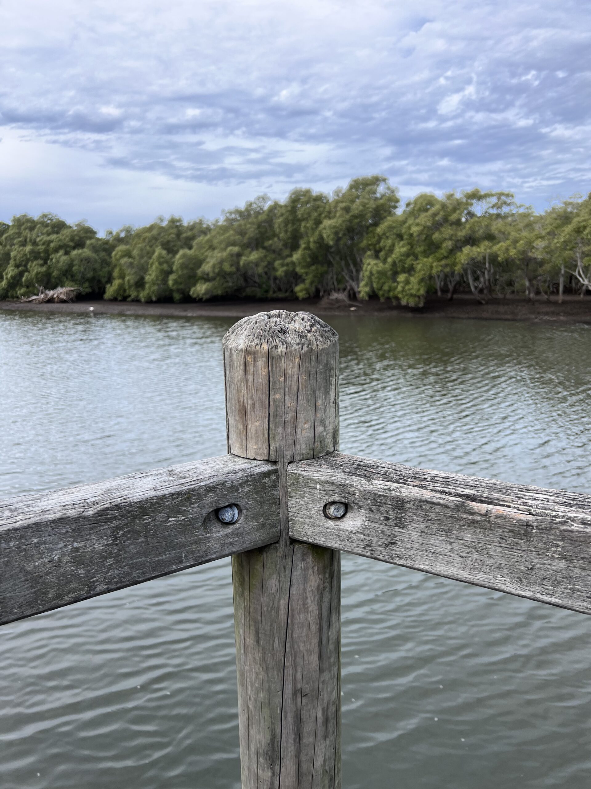 What Birds Can Teach Us About Teamwork | Flyover